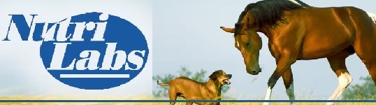 NUTRI LABS - Perrogato